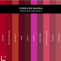 Labial MATE LARGA DURACIÓN en barra- Forever Lbel – KOSMETIKA